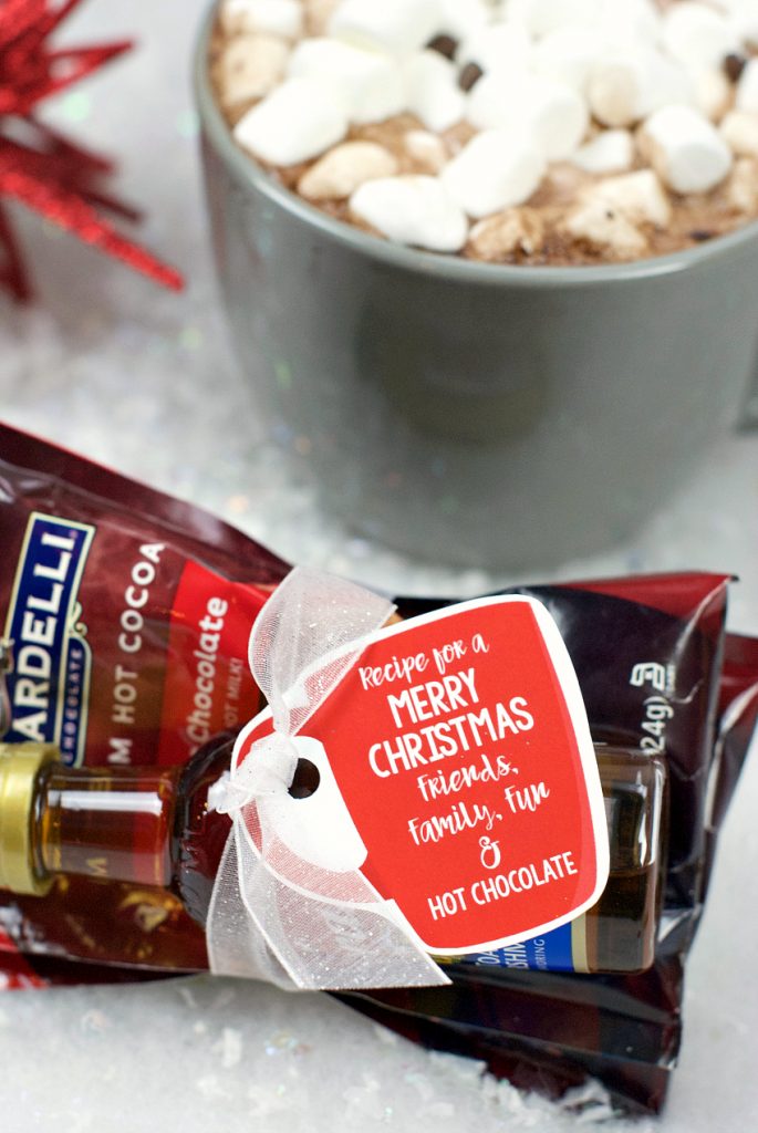 Flavored Hot Chocolate Gift Idea – Fun-Squared