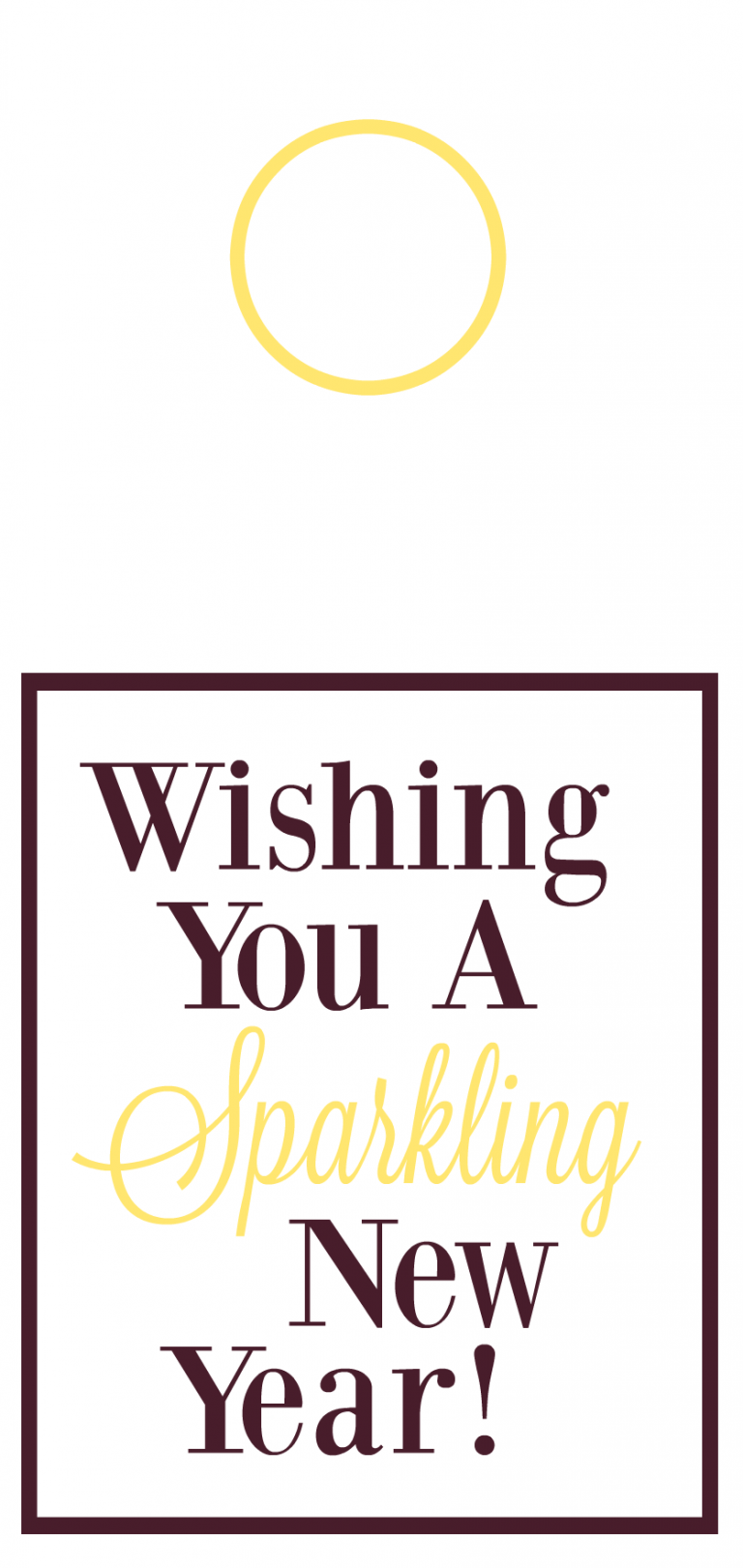 Sparkling New Year's Gift – Fun-Squared