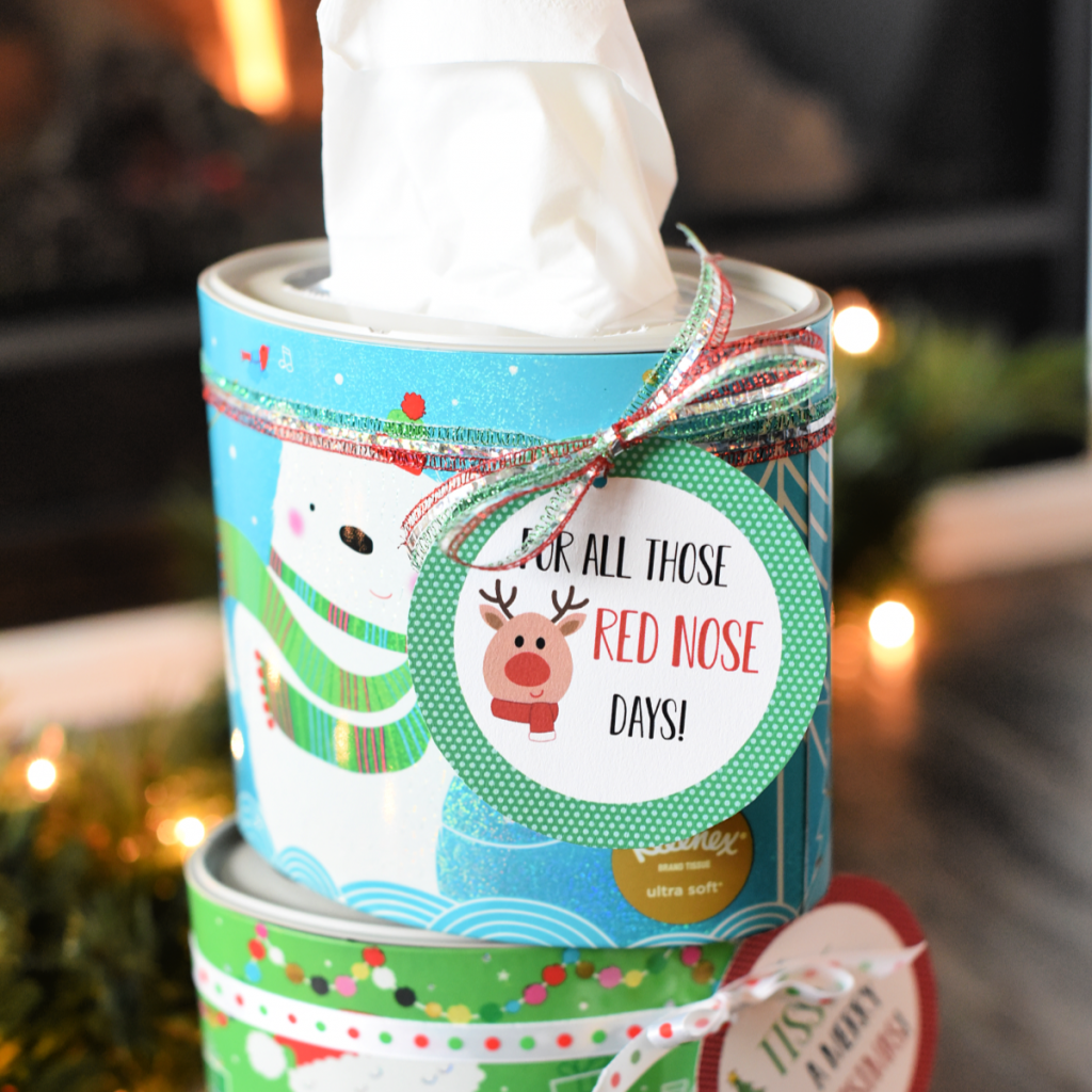 Fun & Creative Christmas Gifts to Give This Year - Fun-Squared